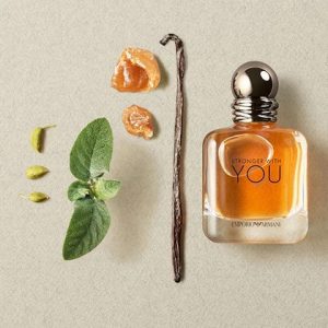 Perfume notes explained | Blog | The Perfume Shop