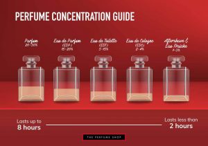 Everything you need to know about perfume oil concentration | Blog