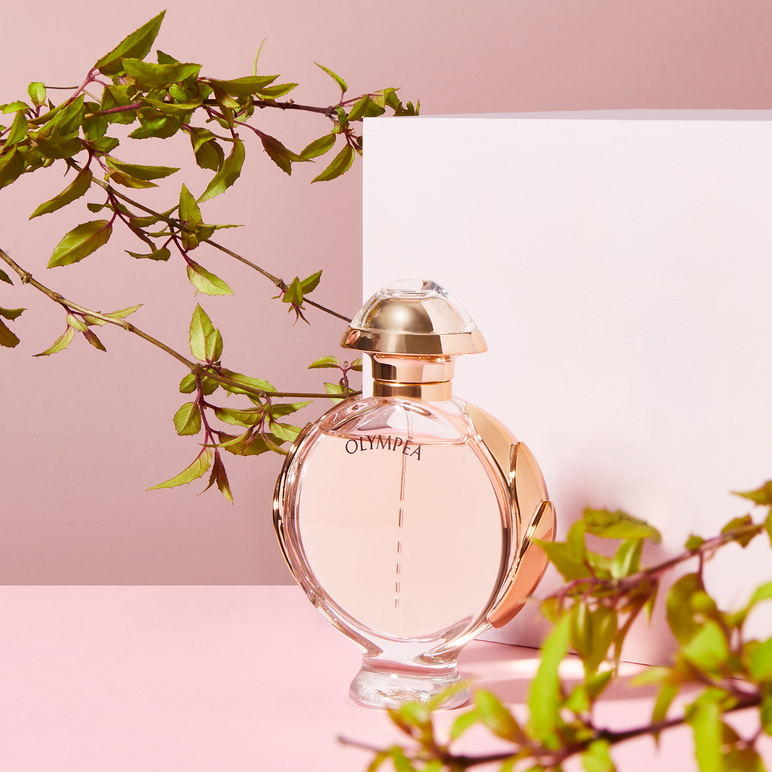 Perfumes from Spain | Blog