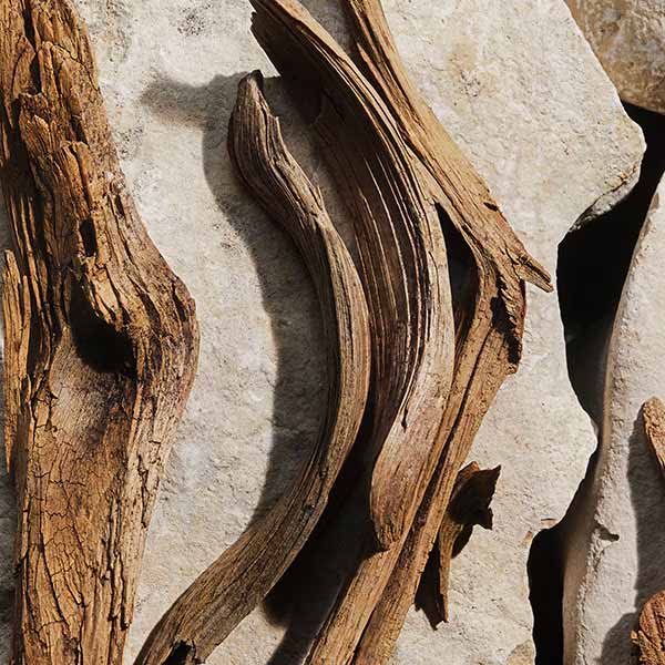 Dolce&Gabbana Light Blue Eau de Toilette Spray | The Perfume Shop